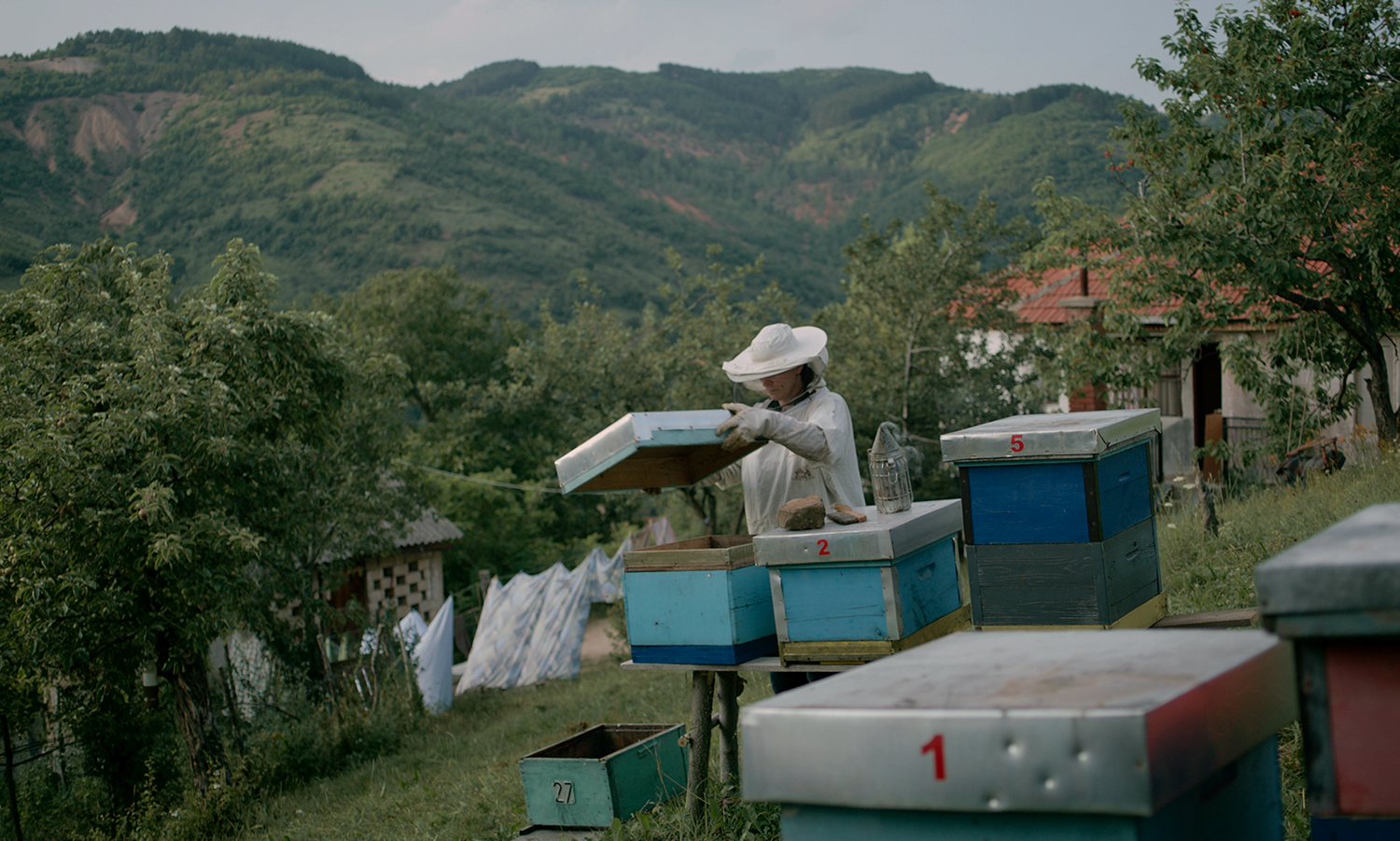 Blerta Basholli: I do not know what interested me more, her story or ...